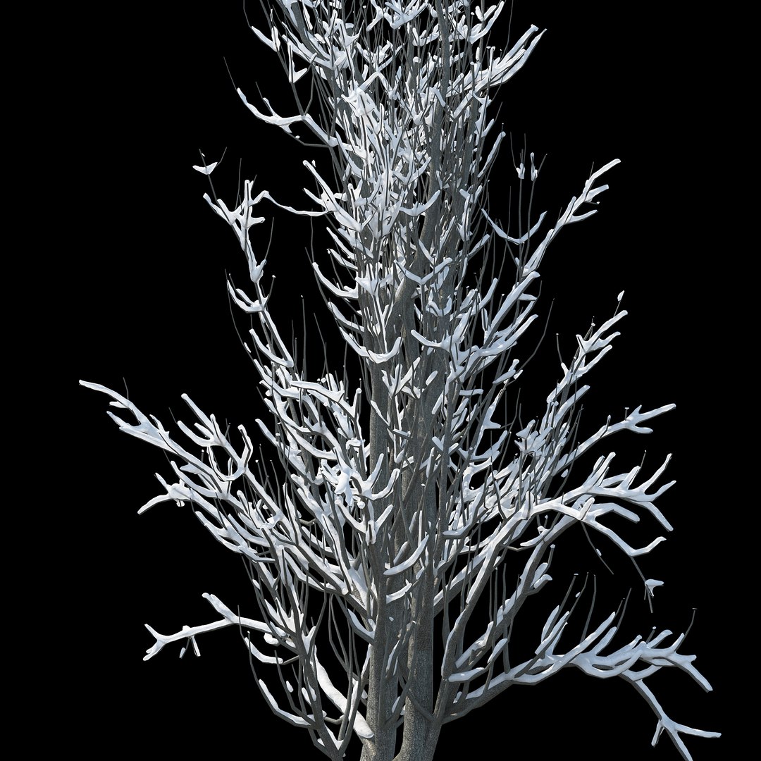 3D model winter tree 025 - TurboSquid 1233746