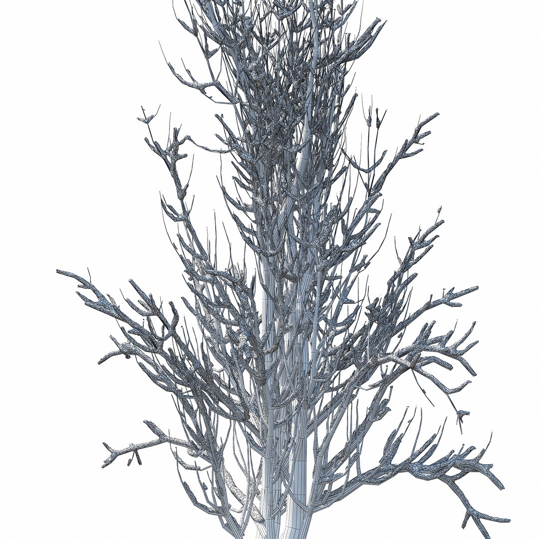 3D model winter tree 025 - TurboSquid 1233746