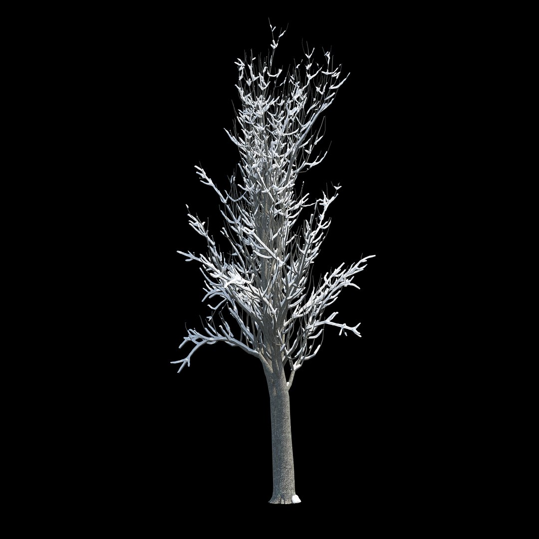 3D model winter tree 025 - TurboSquid 1233746