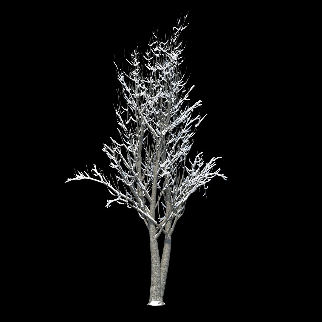 3D model winter tree 025 - TurboSquid 1233746