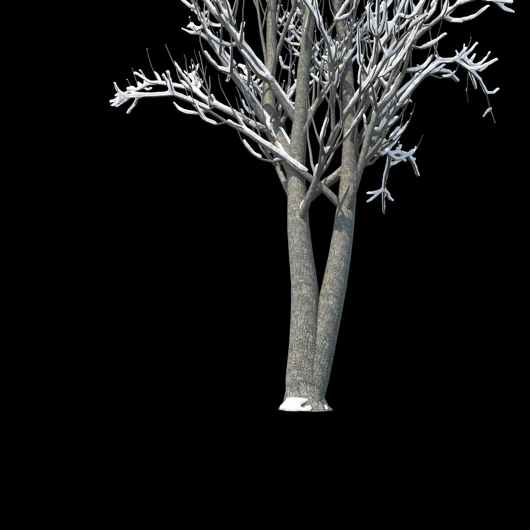 3D model winter tree 025 - TurboSquid 1233746