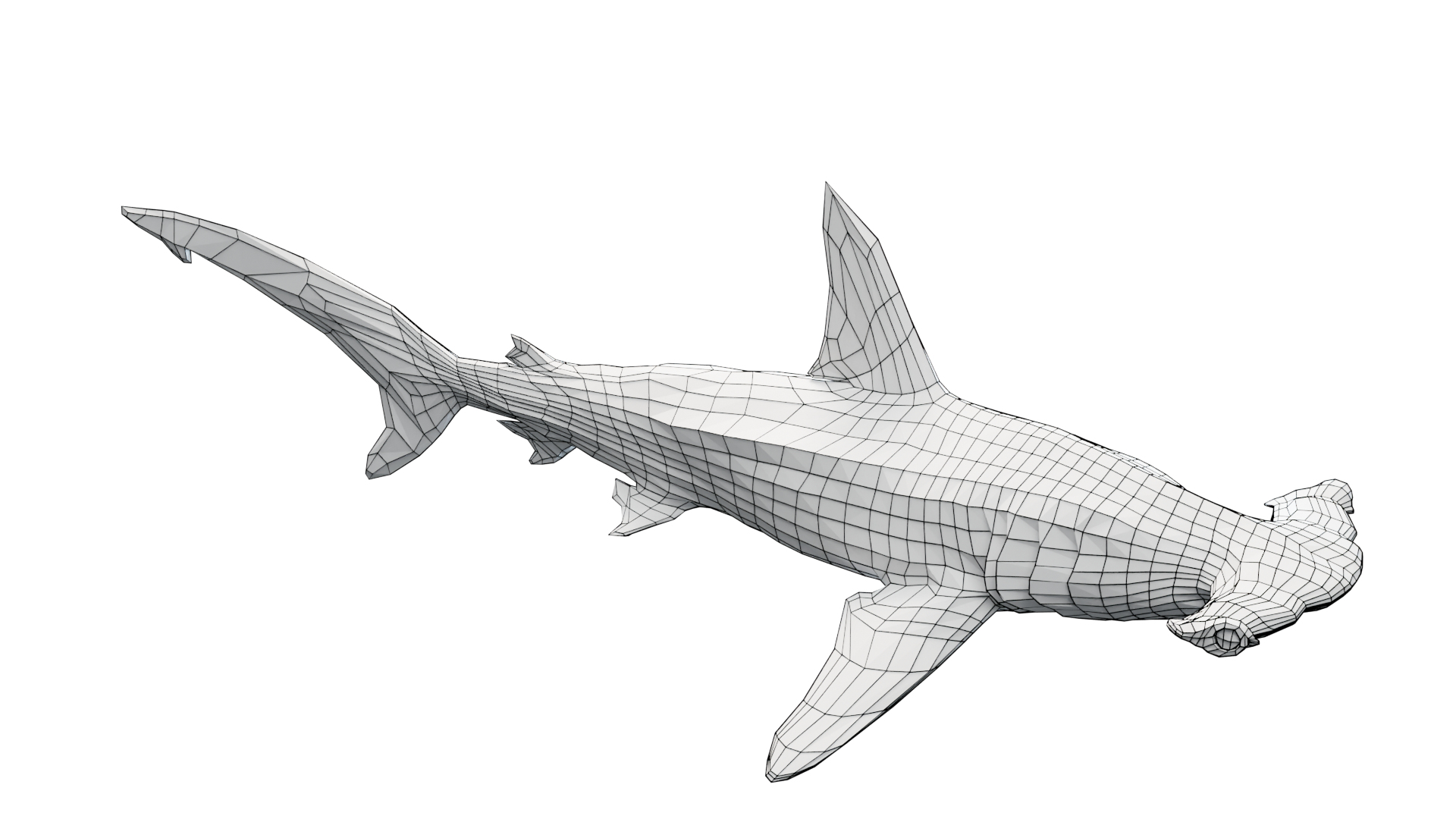 3D Hammerhead Shark - TurboSquid 2130844