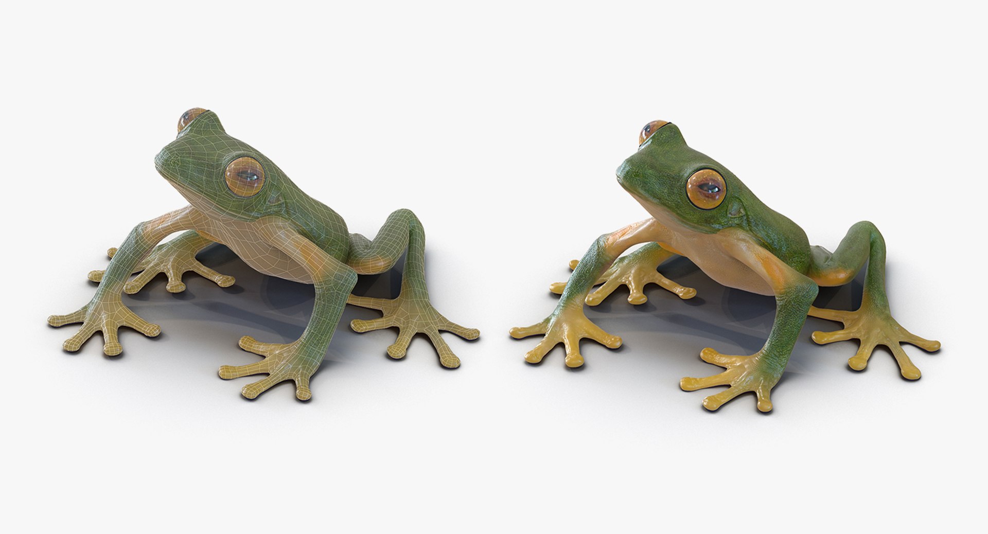 3D model frogs rigged 2 - TurboSquid 1521685