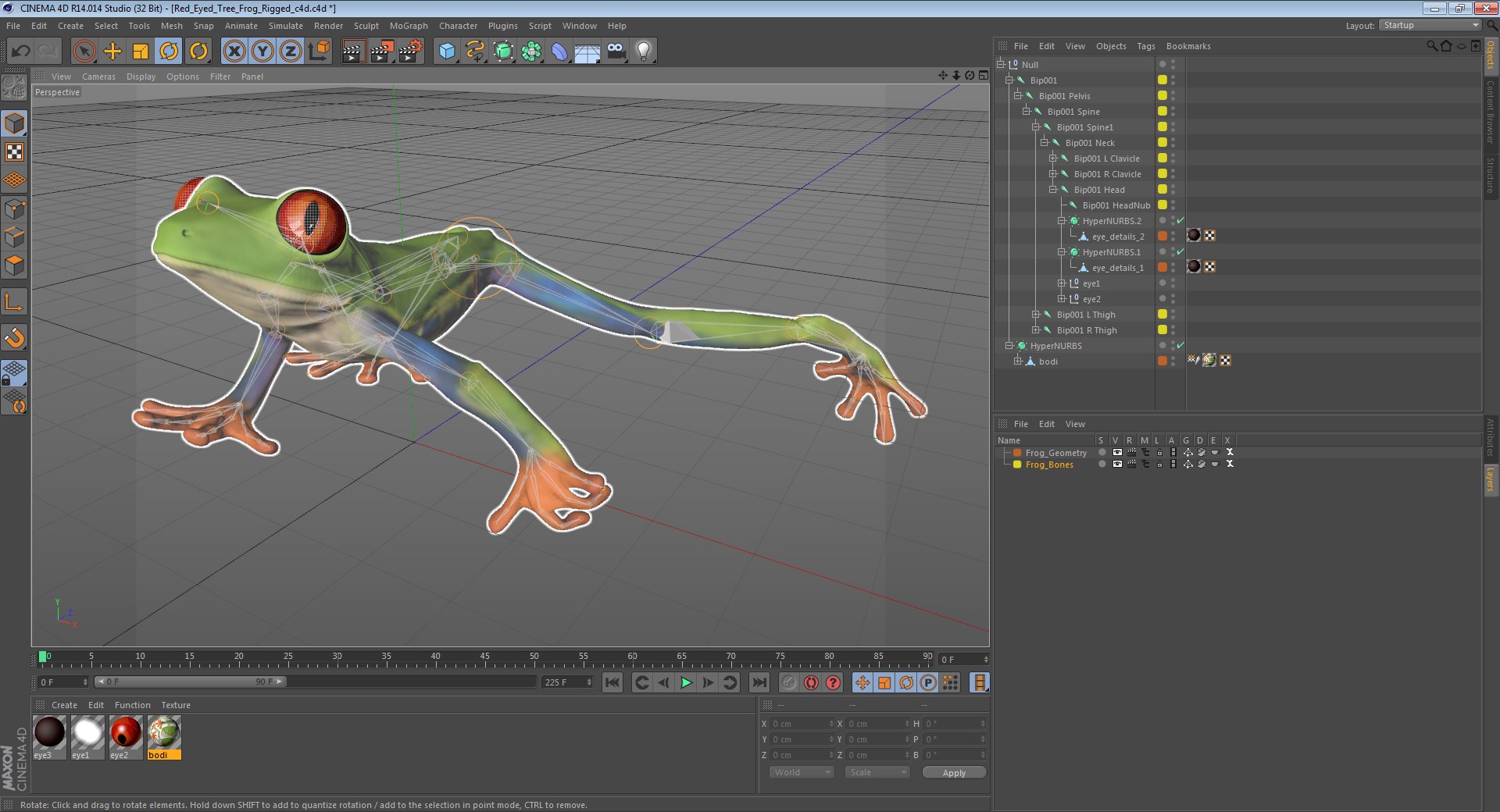 3D model frogs rigged 2 - TurboSquid 1521685