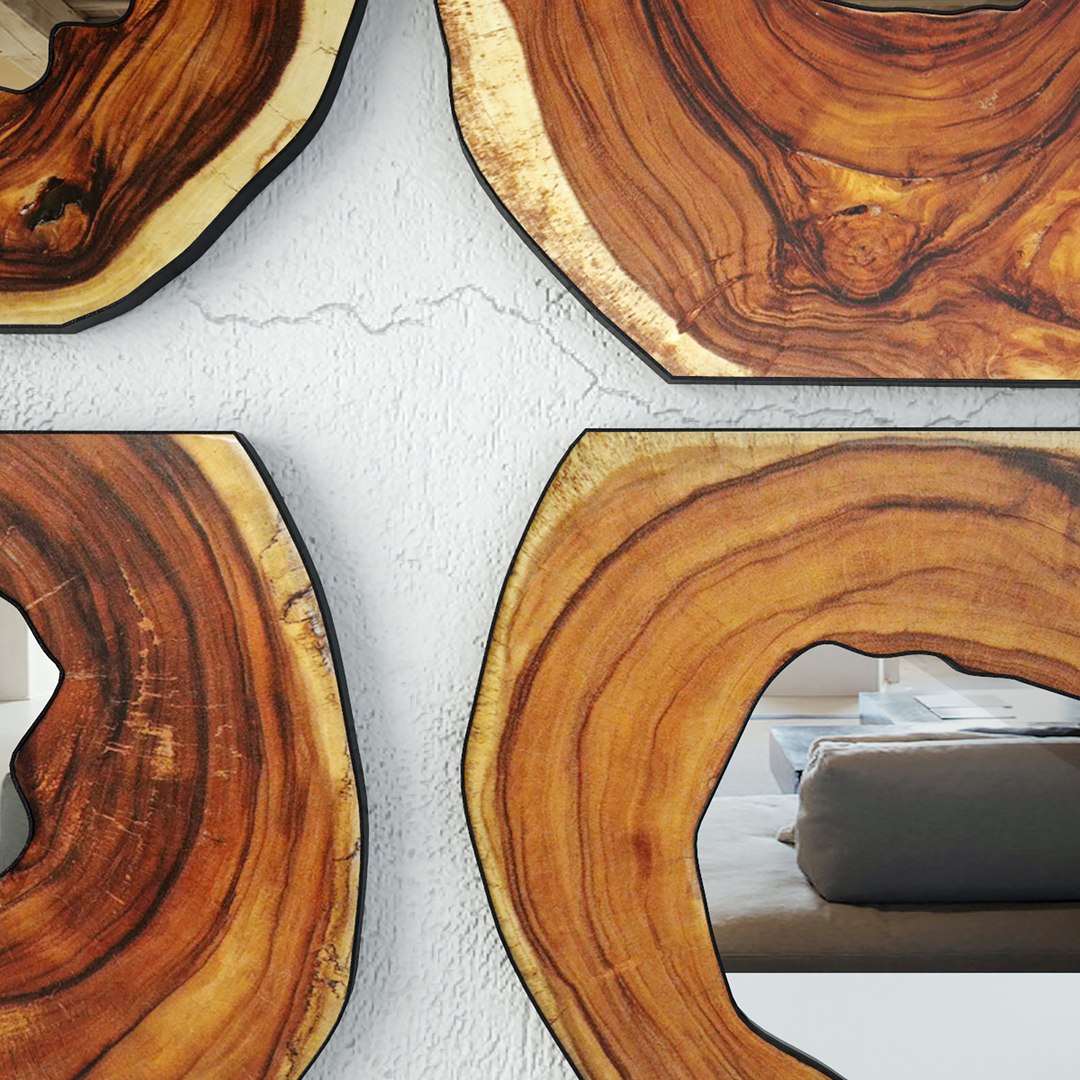 3D Organic Monkey Pod Mirrors 2 Model - TurboSquid 2124575