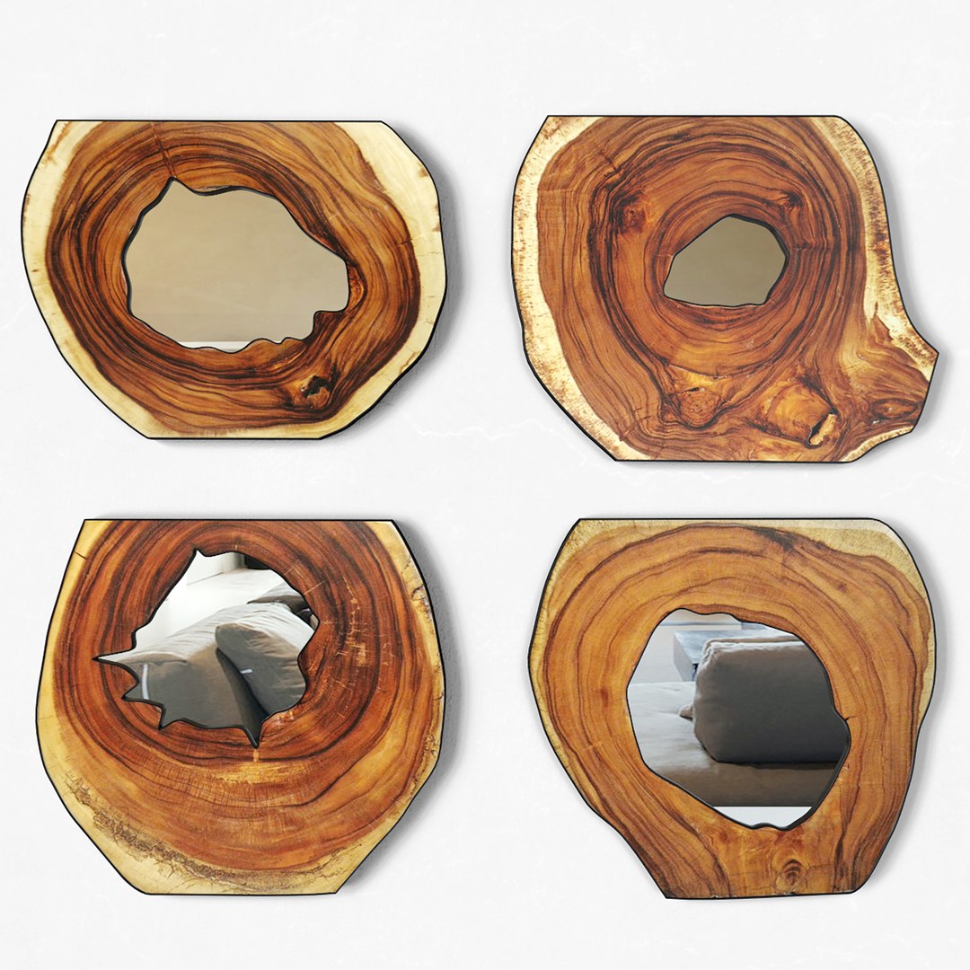 3D Organic Monkey Pod Mirrors 2 Model - TurboSquid 2124575