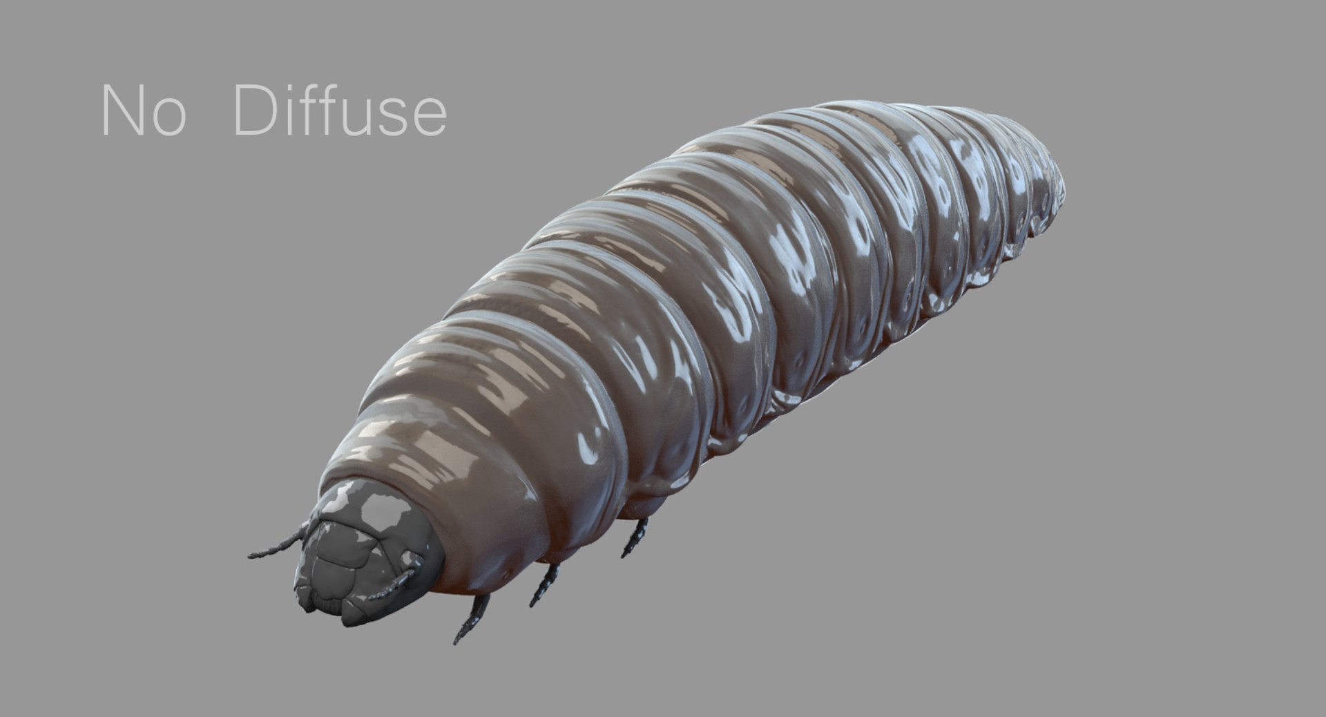 Realistic Maggot Model - TurboSquid 1424446