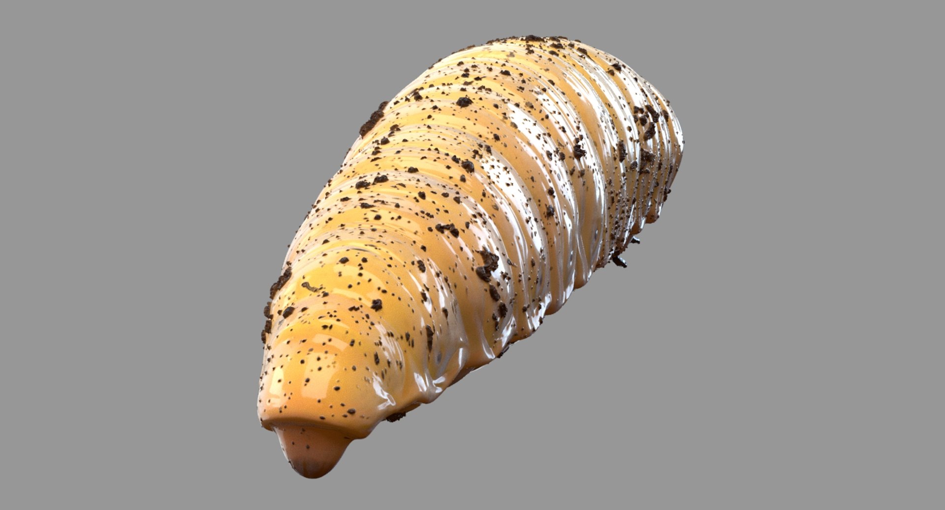 Realistic Maggot Model - TurboSquid 1424446