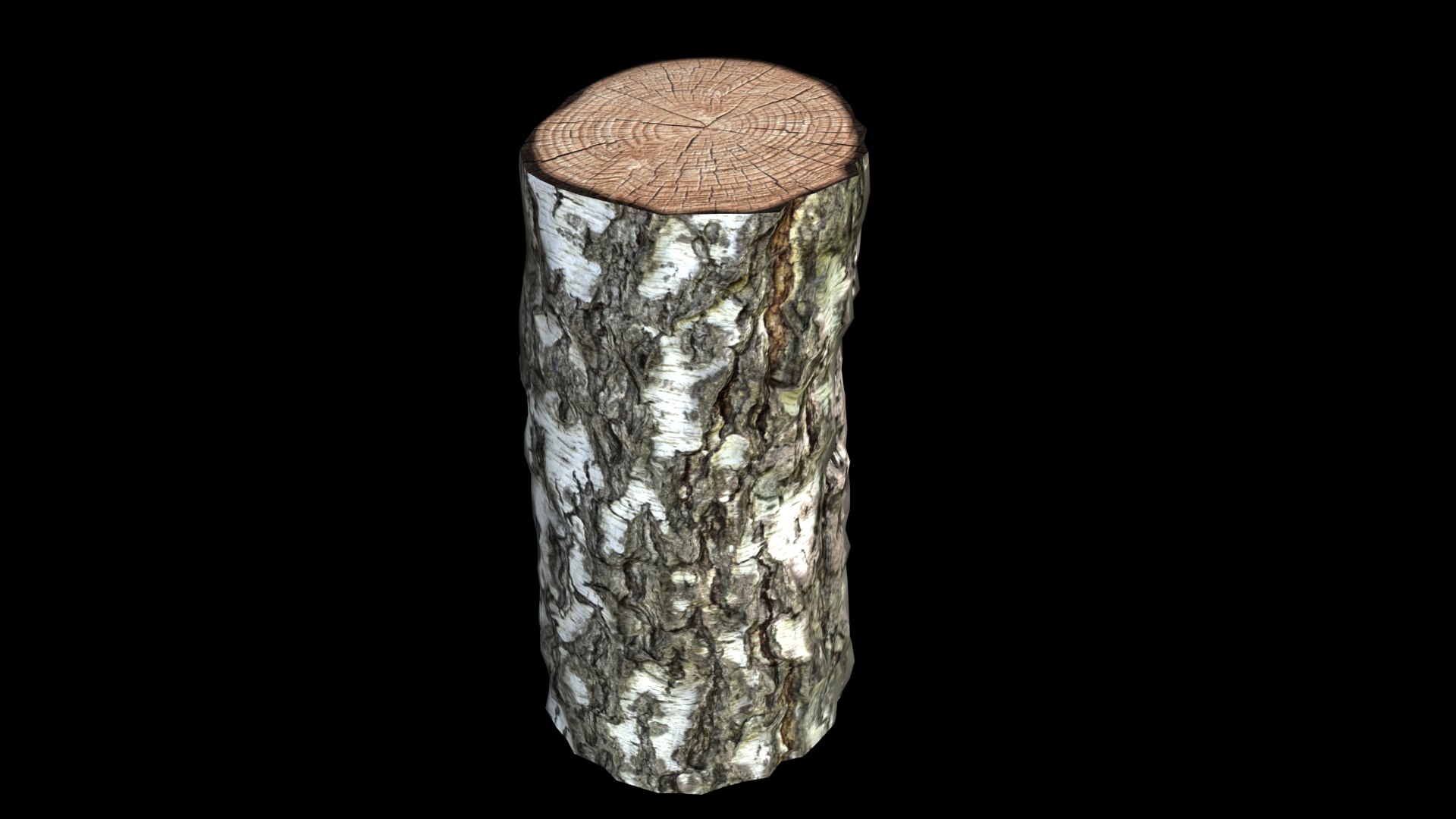 Birch Tree Log 3D Model - TurboSquid 1726925