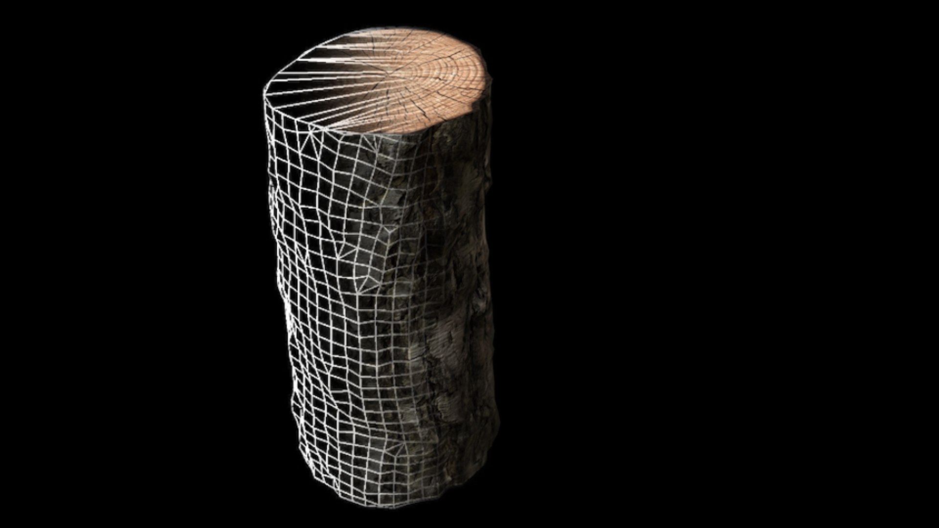 Birch Tree Log 3D Model - TurboSquid 1726925
