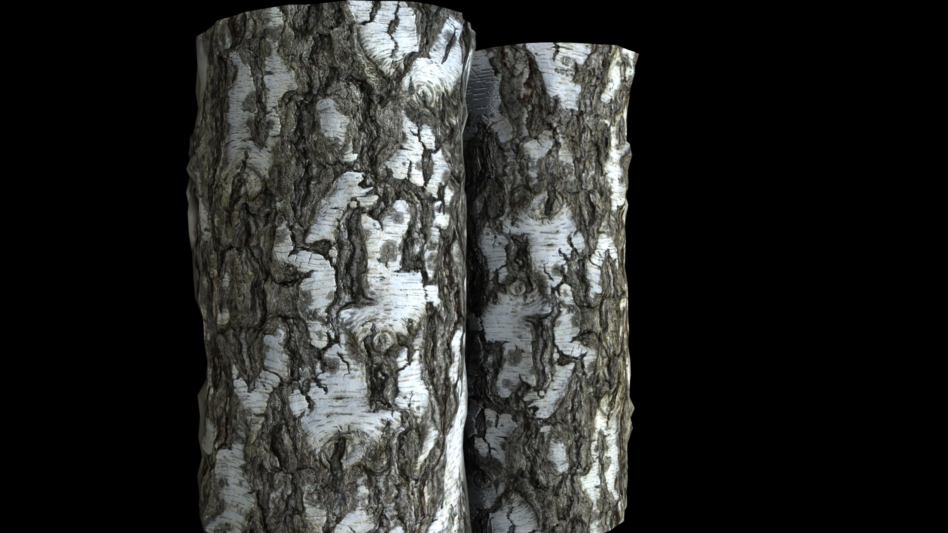 Birch Tree Log 3D Model - TurboSquid 1726925
