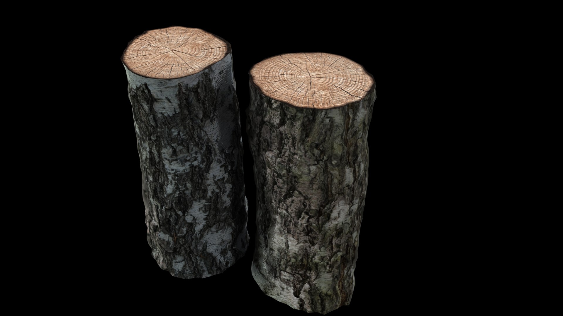 Birch Tree Log 3D Model - TurboSquid 1726925