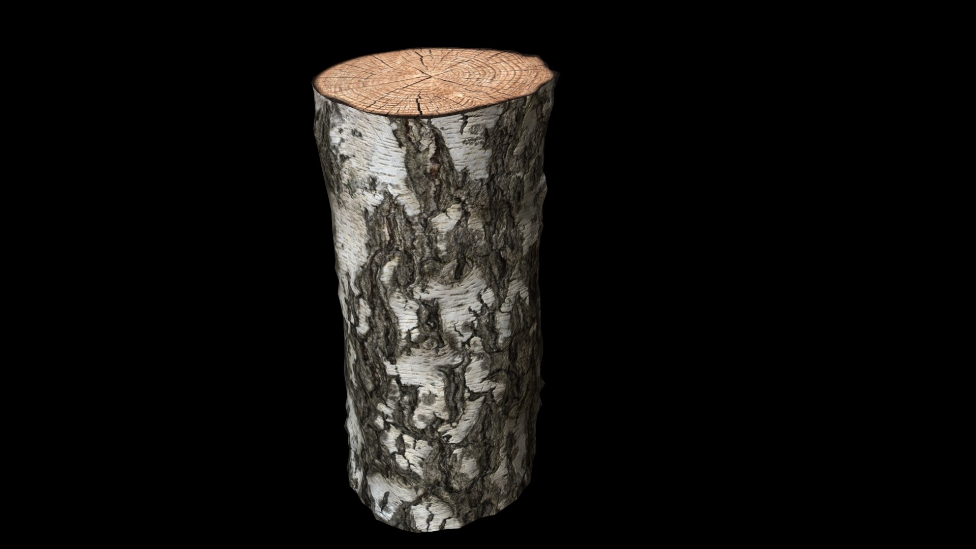 Birch Tree Log 3D Model - TurboSquid 1726925