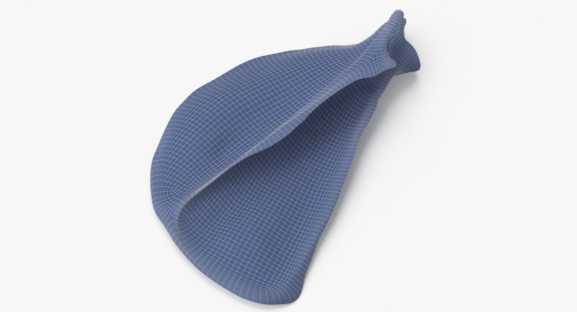 3D Domestic Cat Scapula Bone - TurboSquid 1872993