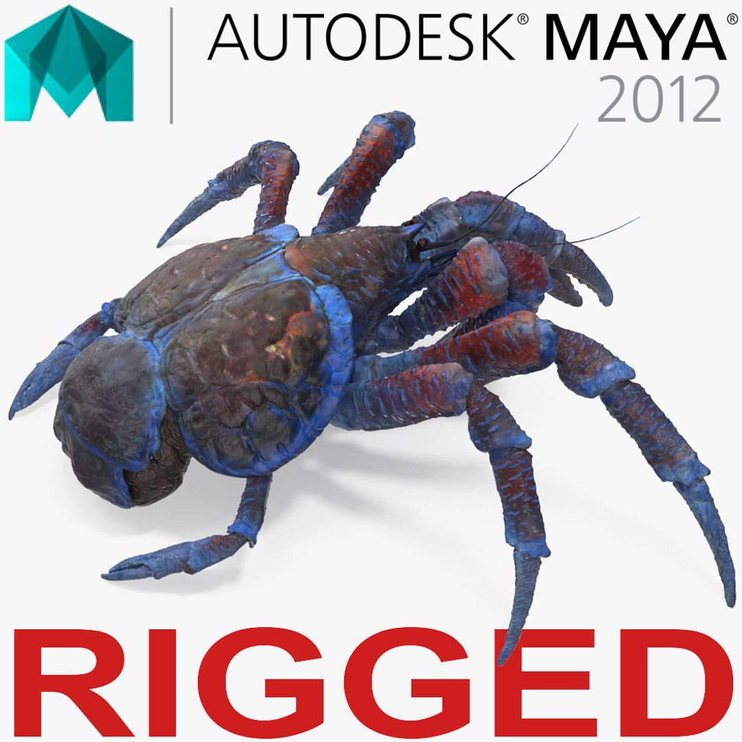 Coconut crab rigged model - TurboSquid 1160008