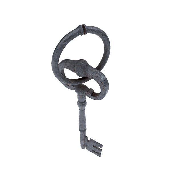 Skeleton key 3D model - TurboSquid 1983056