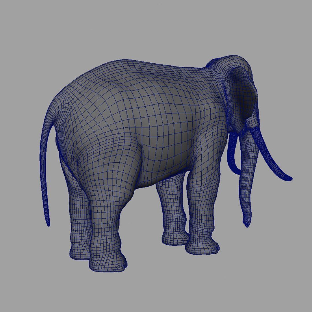 Basemesh Elephant Uvs 3d Obj