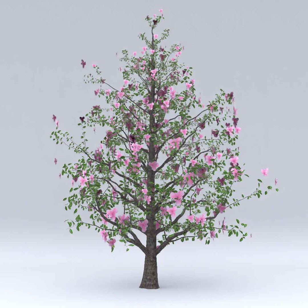 Magnolia Flowers Hight Model - TurboSquid 1619880