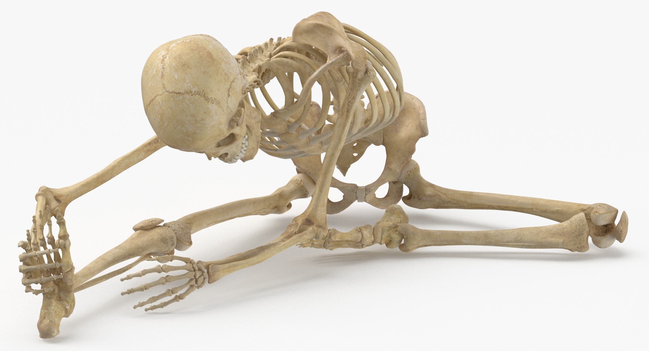 3D model Real Human Female Skeleton Pose 109 - TurboSquid 1819944