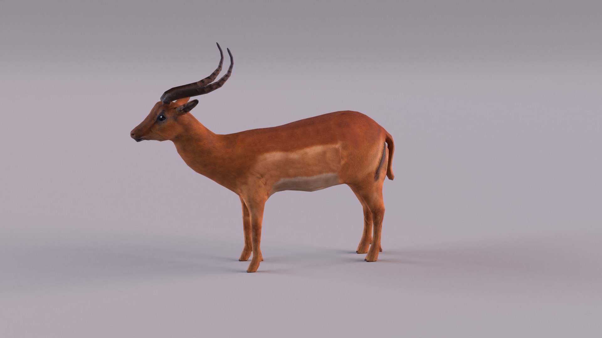 Antelope Model - TurboSquid 1765032