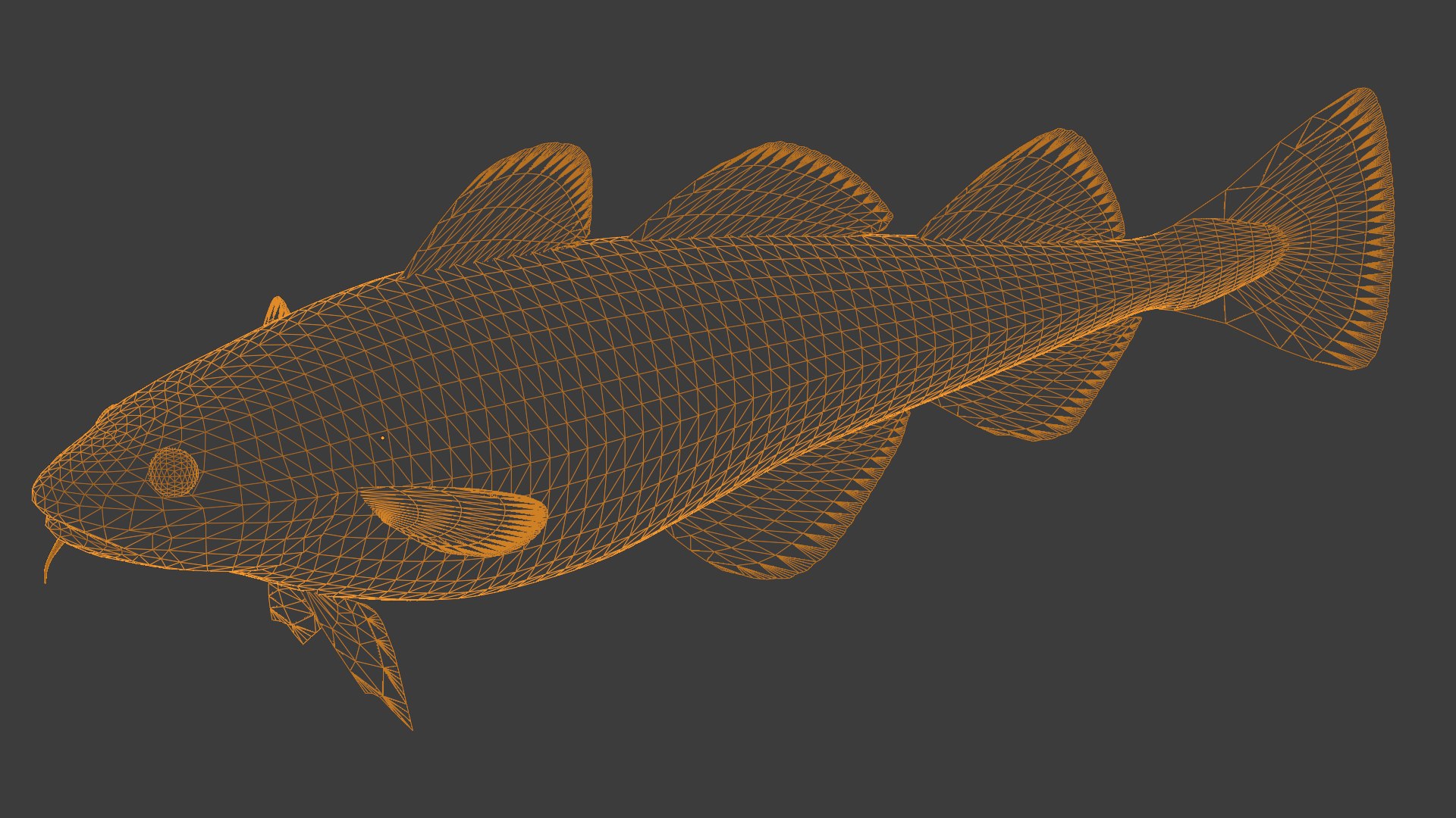 Pacific Cod 3d Model