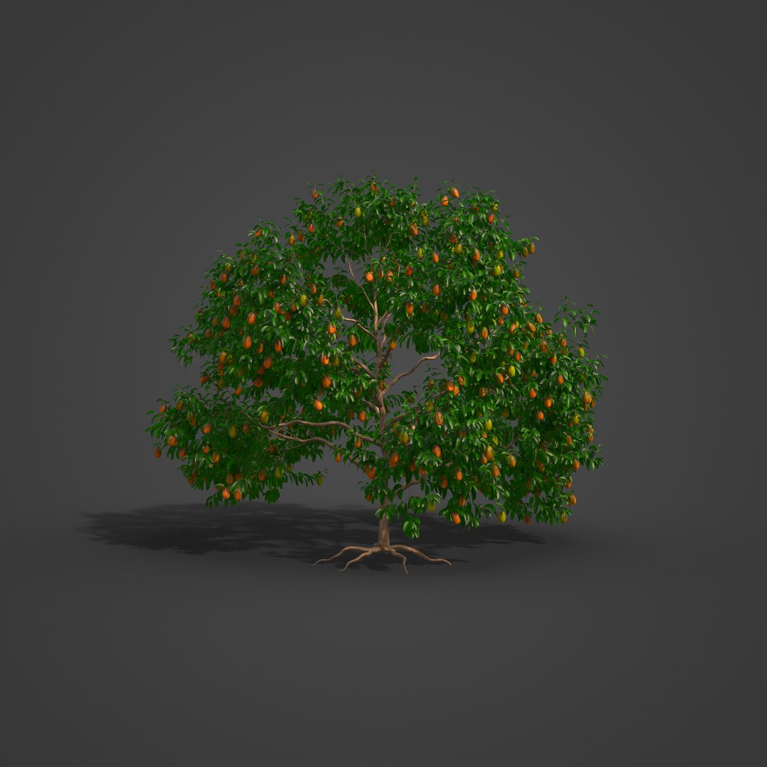 2021 PBR Mango Tree Collection - Mangifera Indica 3D Model - TurboSquid ...