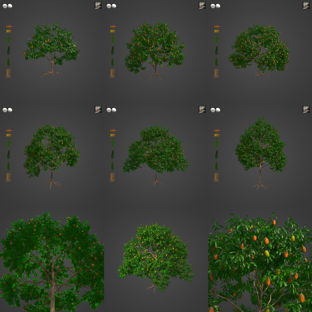 2021 PBR Mango Tree Collection - Mangifera Indica 3D Model - TurboSquid ...