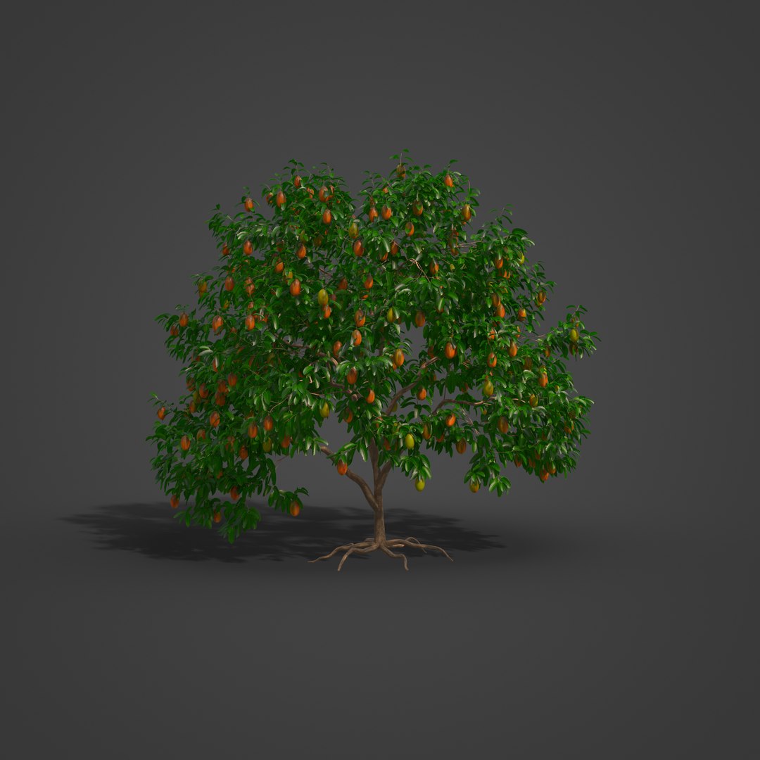 2021 PBR Mango Tree Collection - Mangifera Indica 3D Model - TurboSquid ...