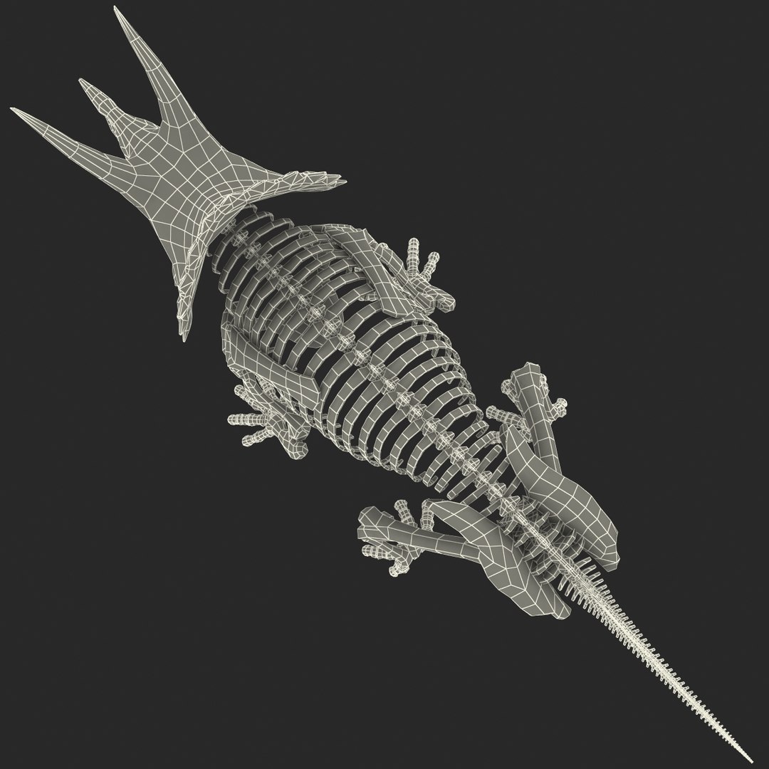 3d Model Triceratops Skeleton