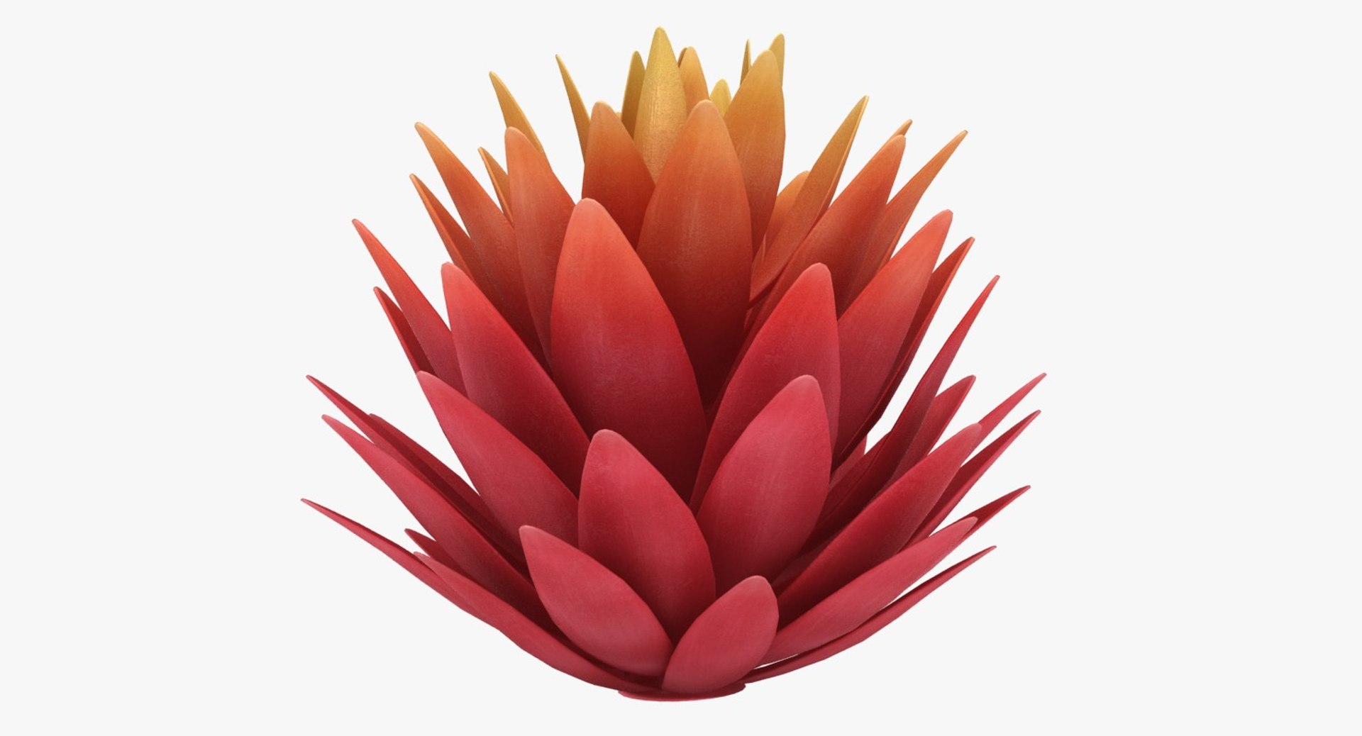 3D Model Red Agave - TurboSquid 1276553