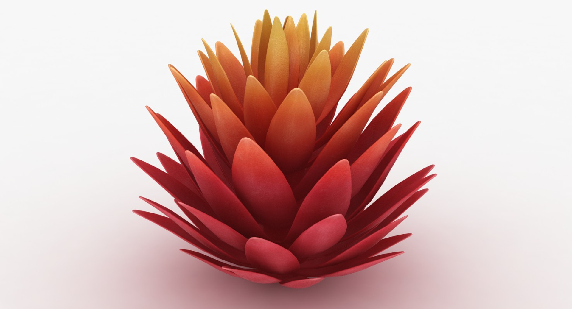 3D Model Red Agave - TurboSquid 1276553