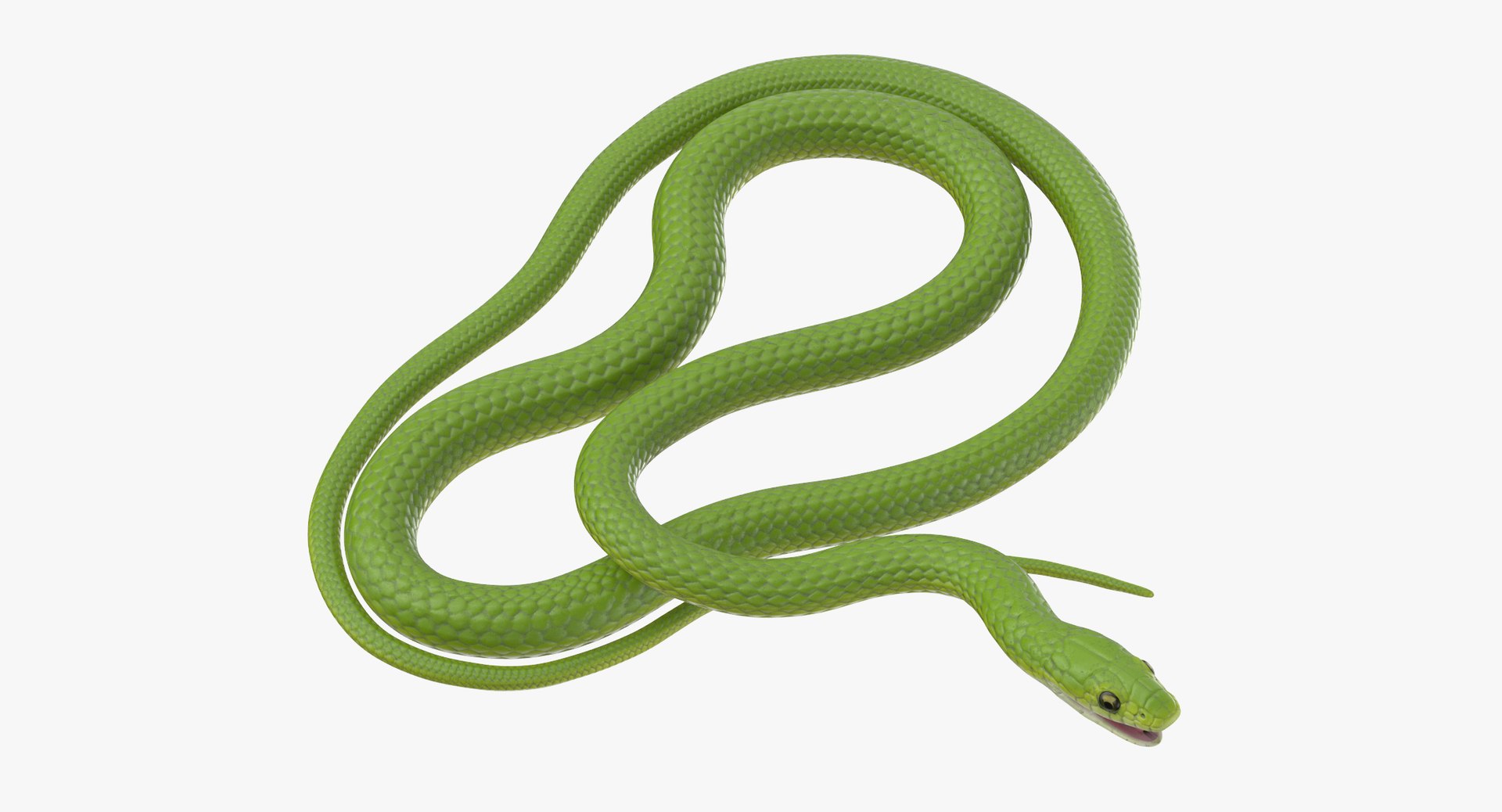 3d Model Green Snake 03
