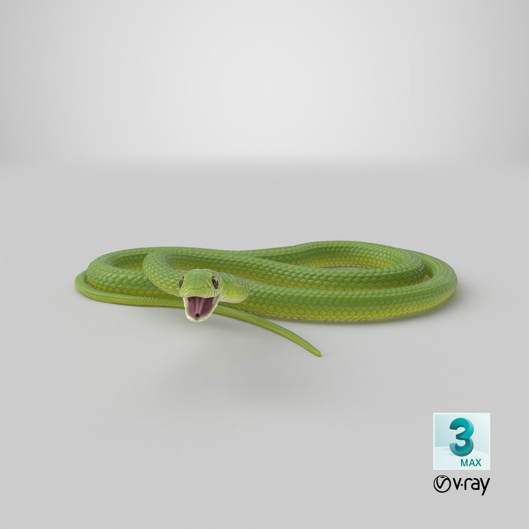 3d Model Green Snake 03