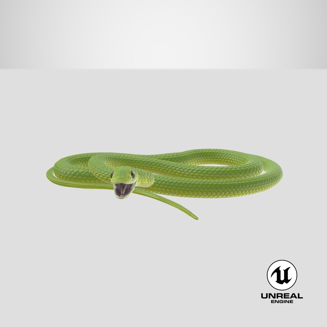 3d Model Green Snake 03