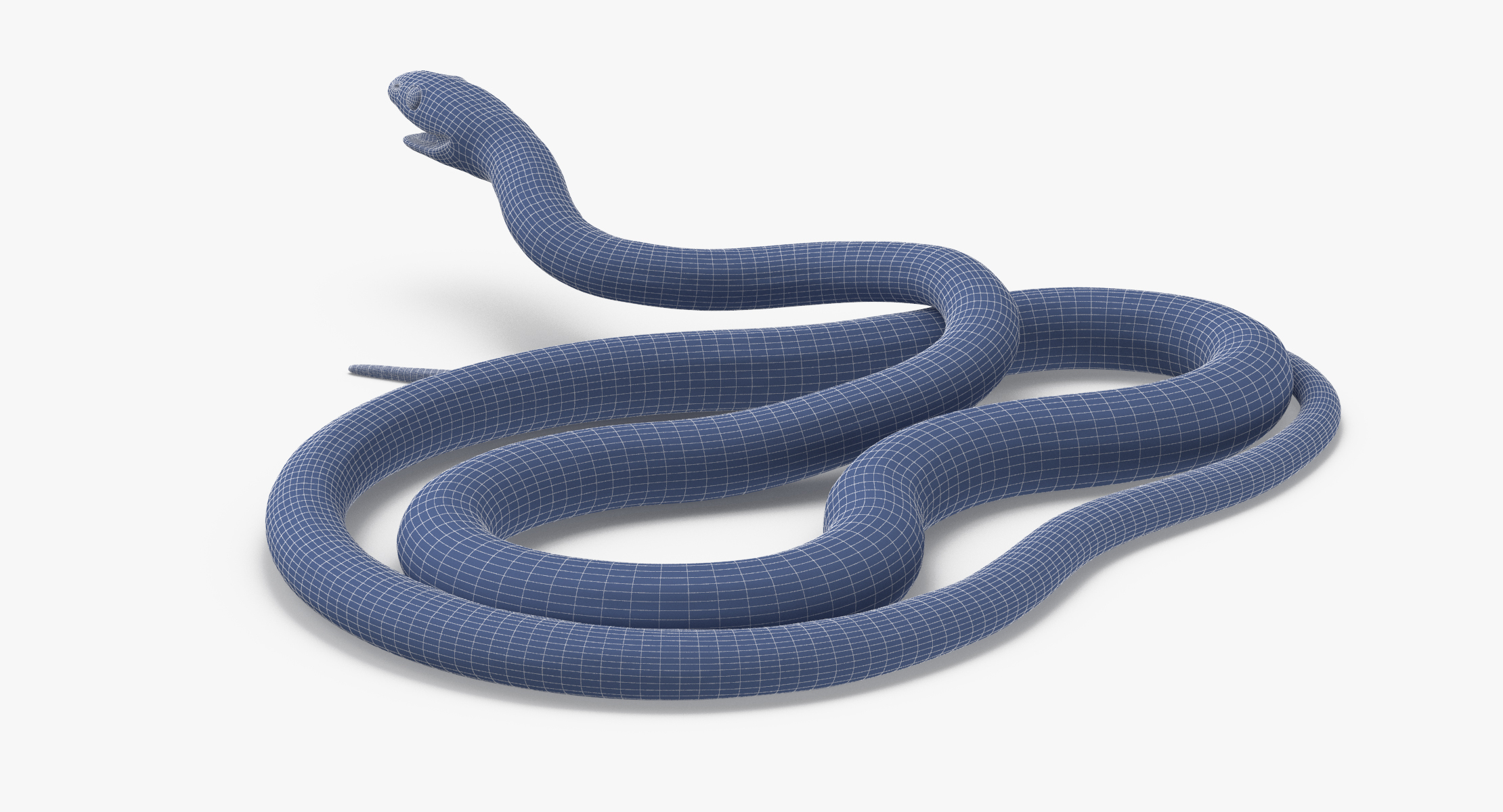3d model green snake 03