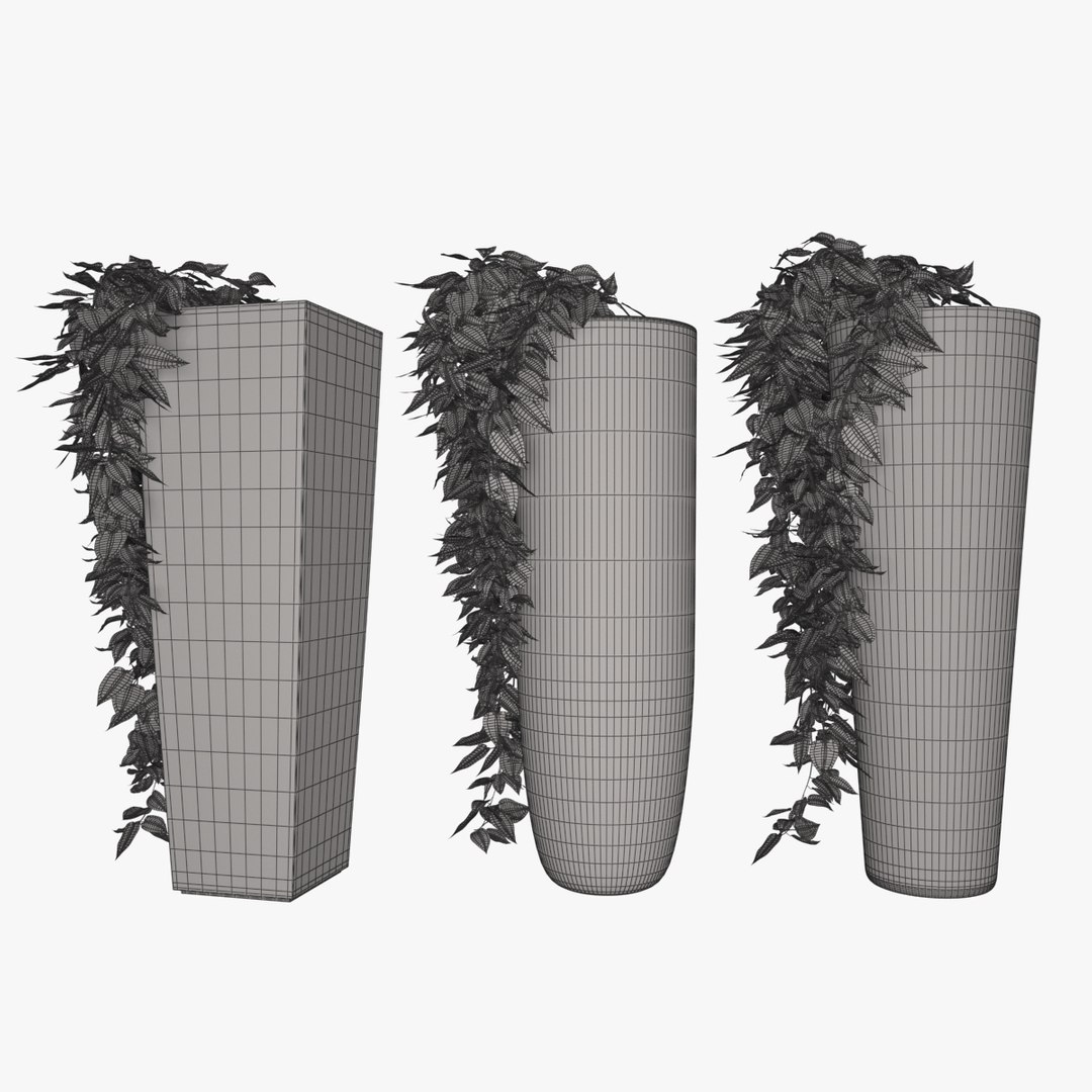 Plant Pots 3d Model