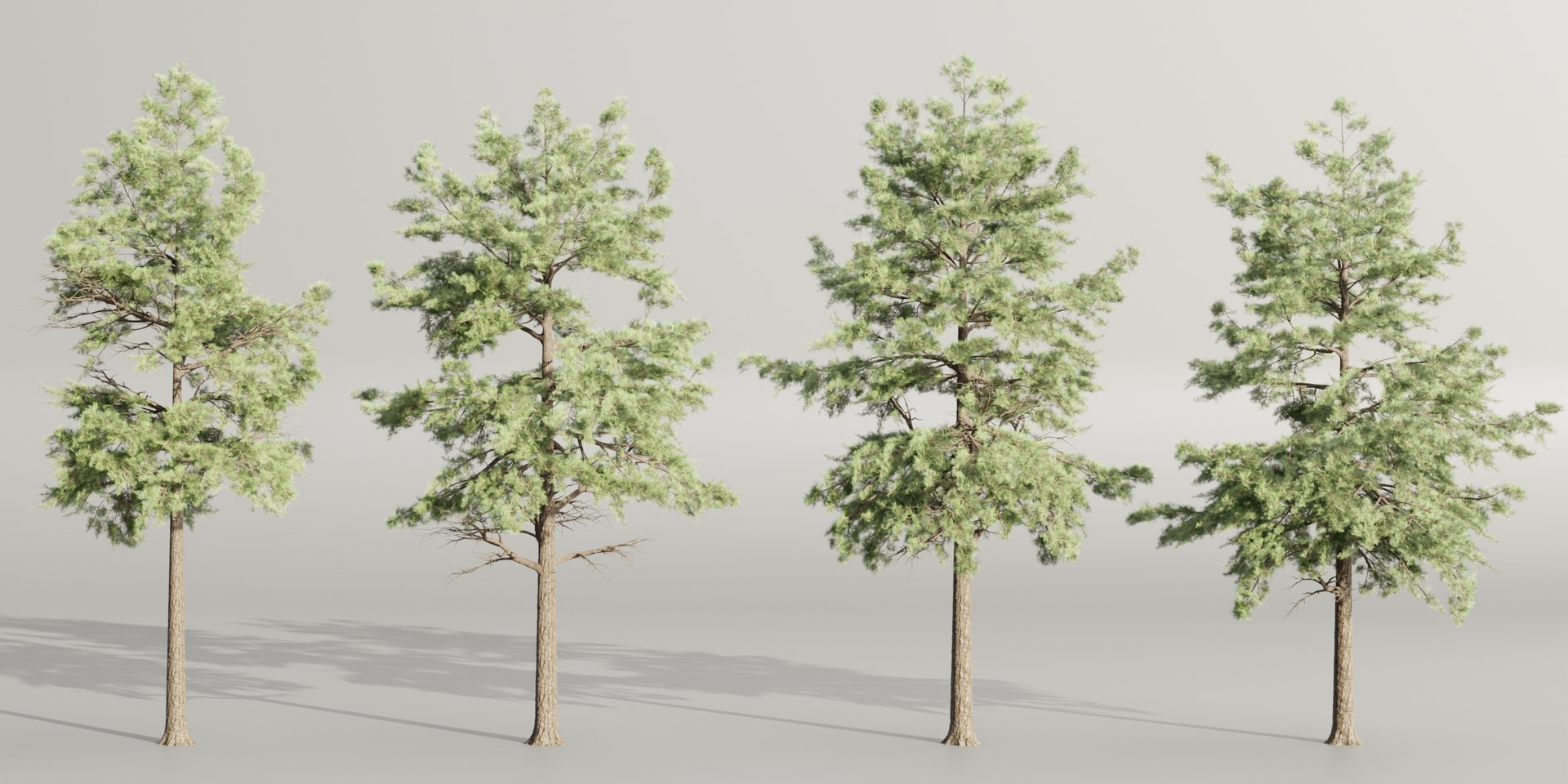 3D Model Conifer Trees Collection Vol 130-Blender - TurboSquid 2144785