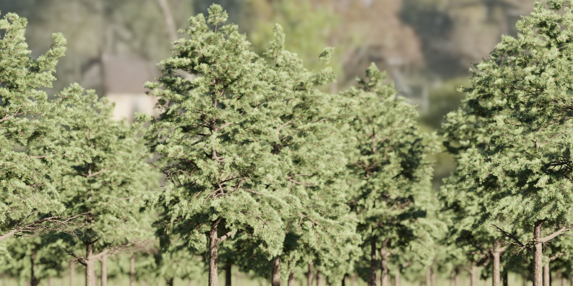 3D Model Conifer Trees Collection Vol 130-Blender - TurboSquid 2144785