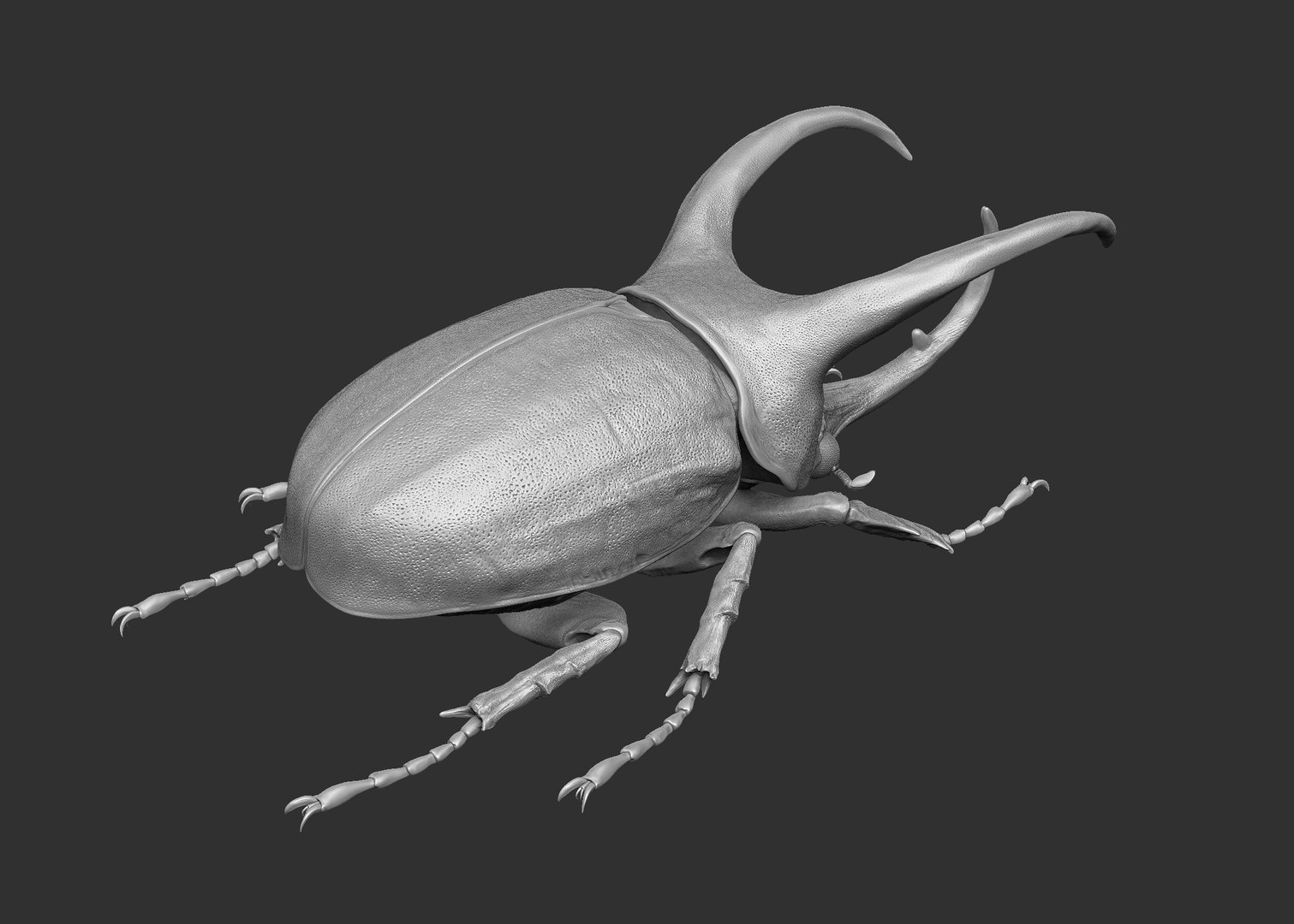 Atlas Beetle Obj