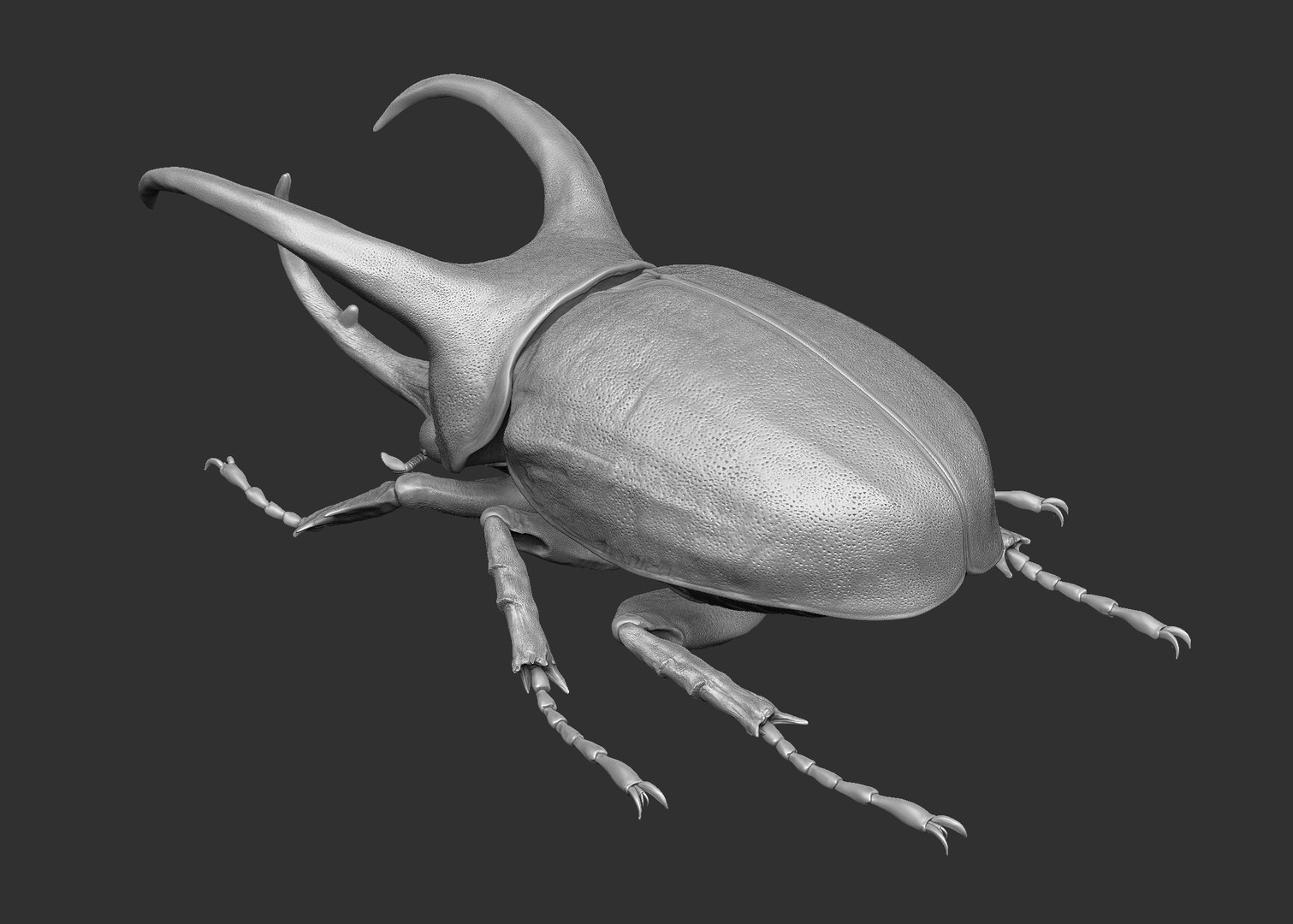 Atlas Beetle Obj