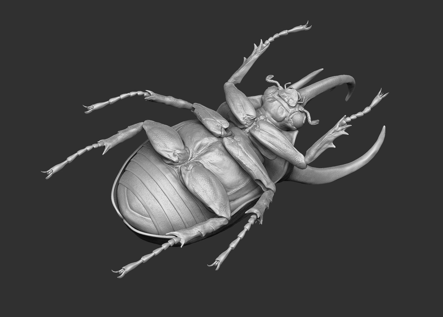 Atlas Beetle Obj