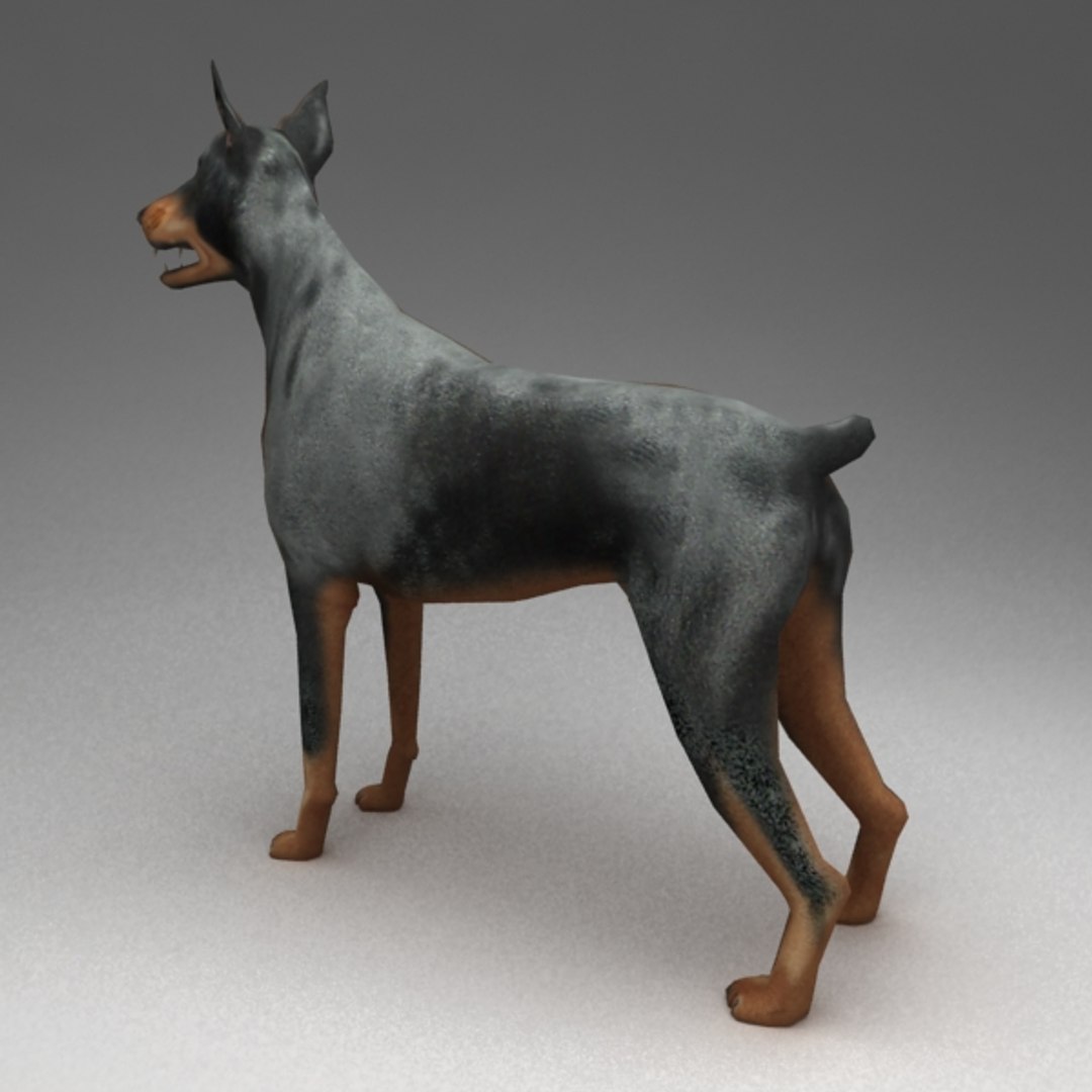 3d 3ds Rigged Doberman