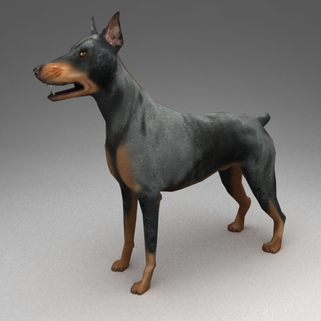3d 3ds Rigged Doberman
