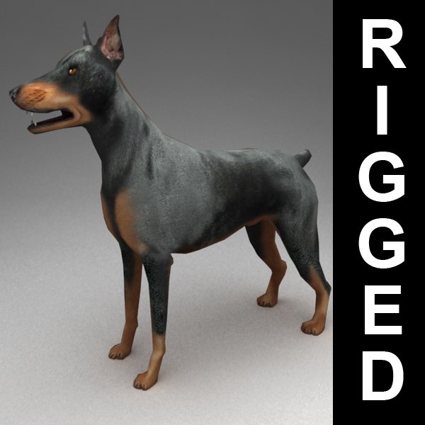 3d 3ds rigged doberman