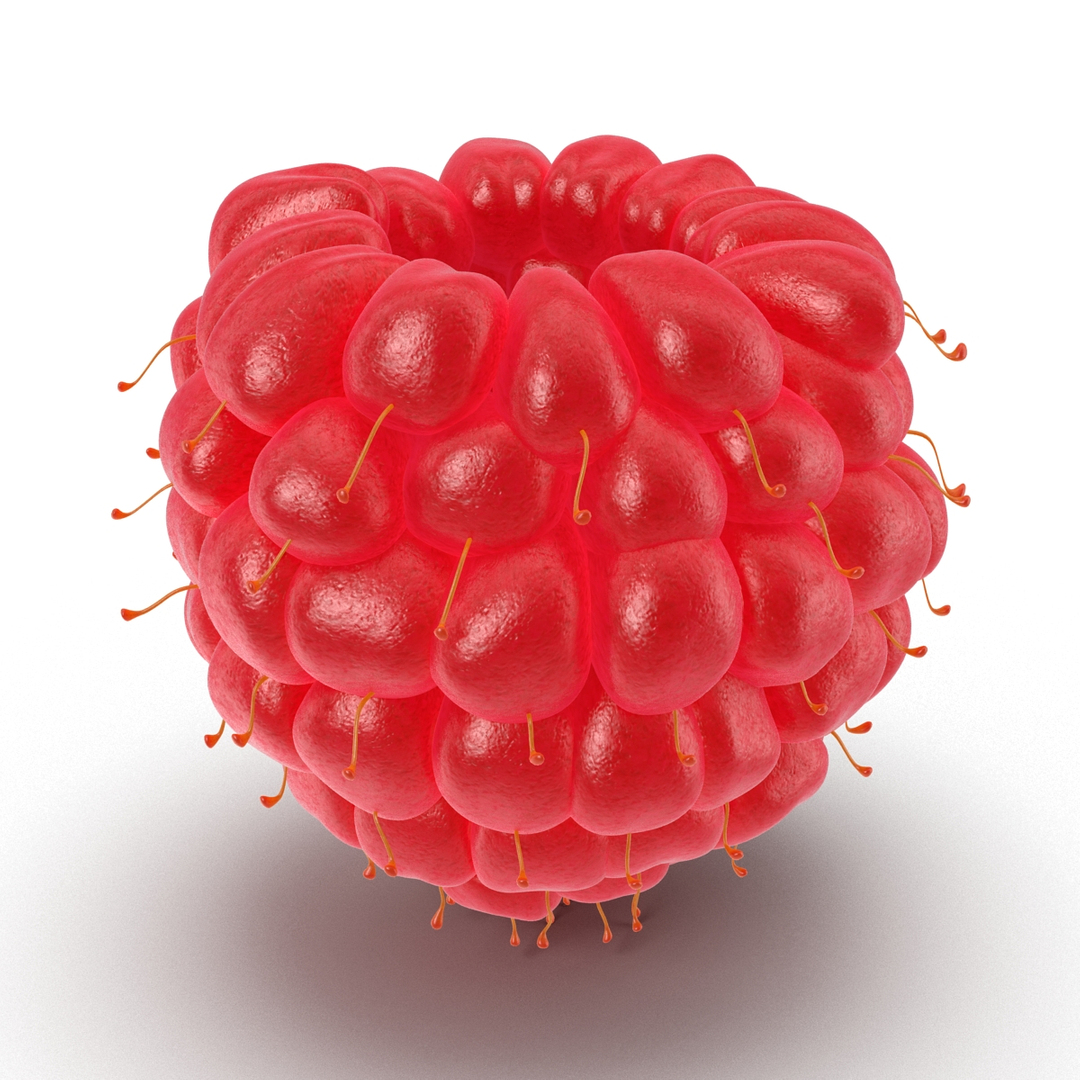 Raspberry 4 3d C4d