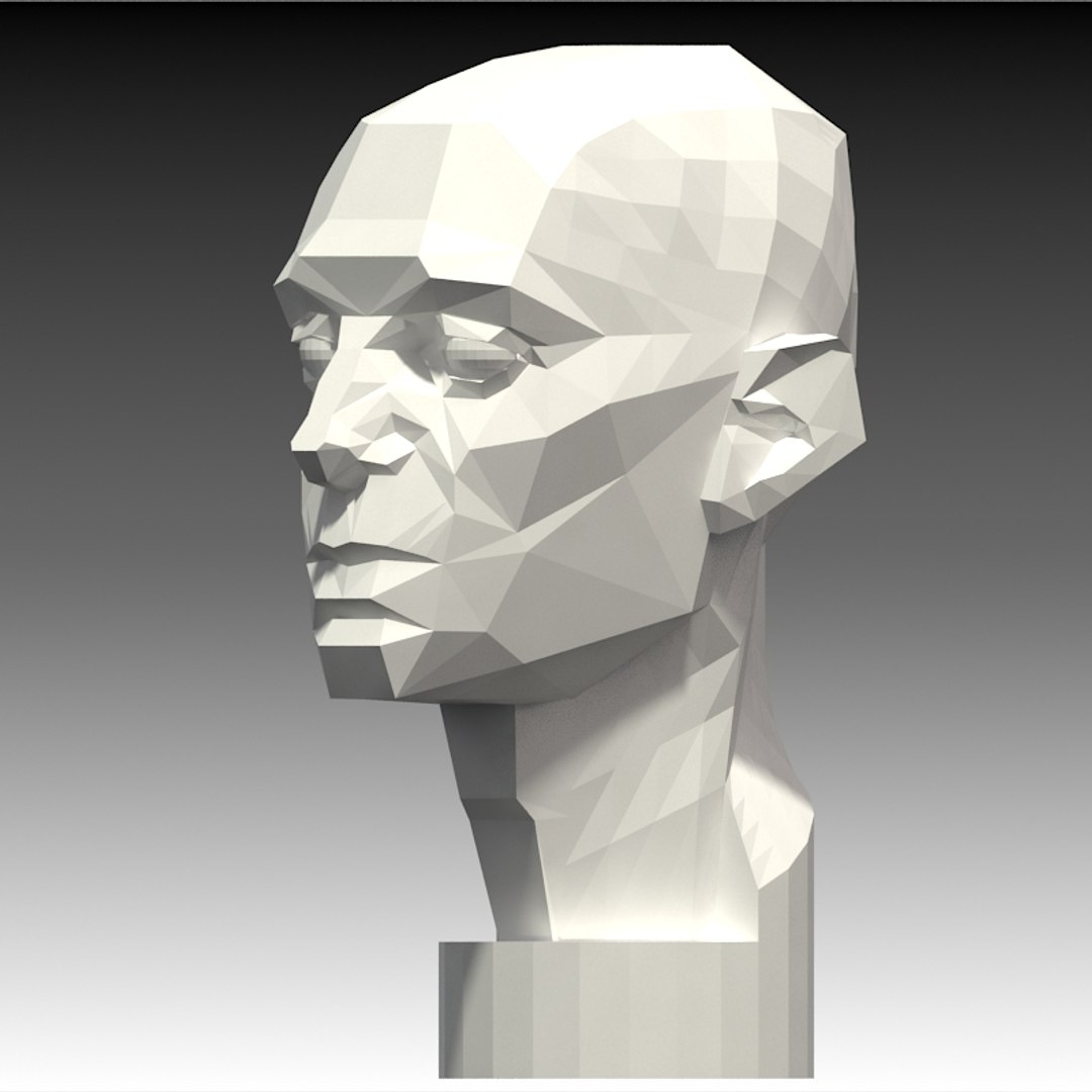 Planar Head Artistic Anatomy Model - TurboSquid 1222763