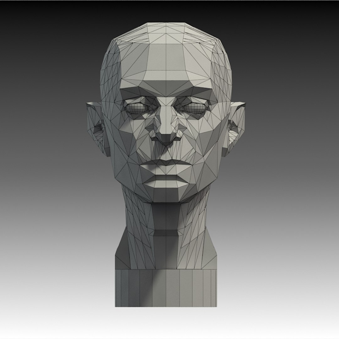 Planar Head Artistic Anatomy Model - TurboSquid 1222763