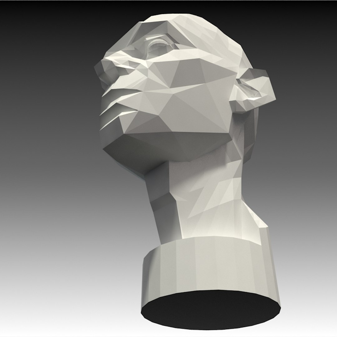Planar Head Artistic Anatomy Model - TurboSquid 1222763