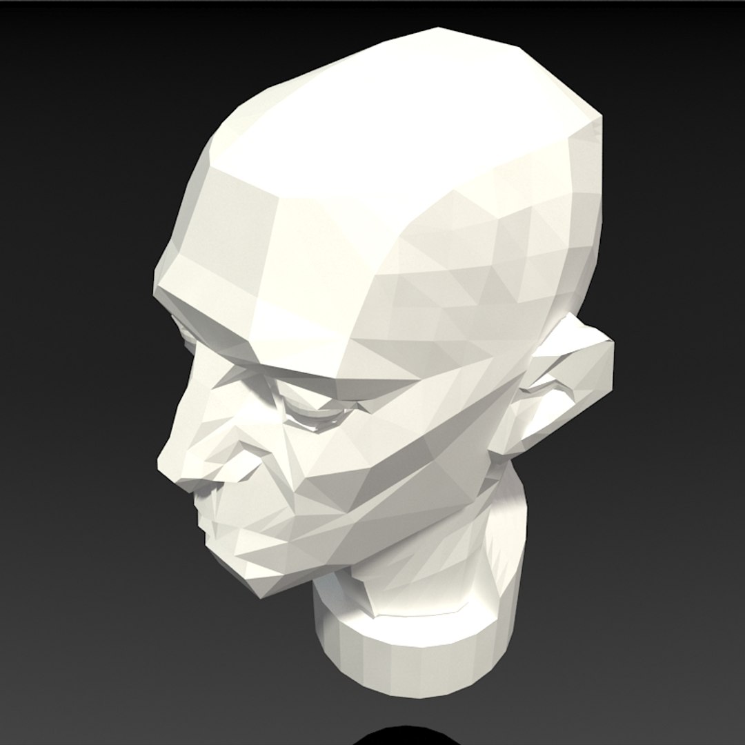 Planar Head Artistic Anatomy Model - TurboSquid 1222763