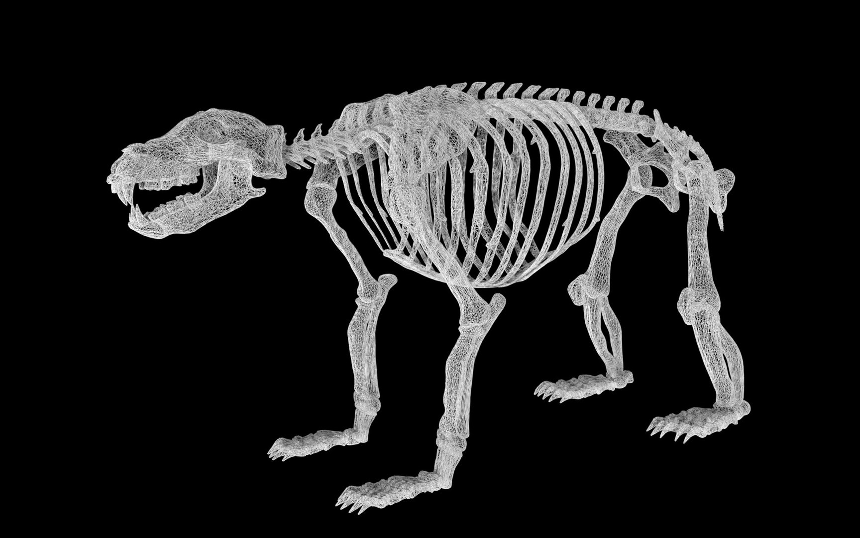 3D Rigged Bear Skeleton - TurboSquid 1853929